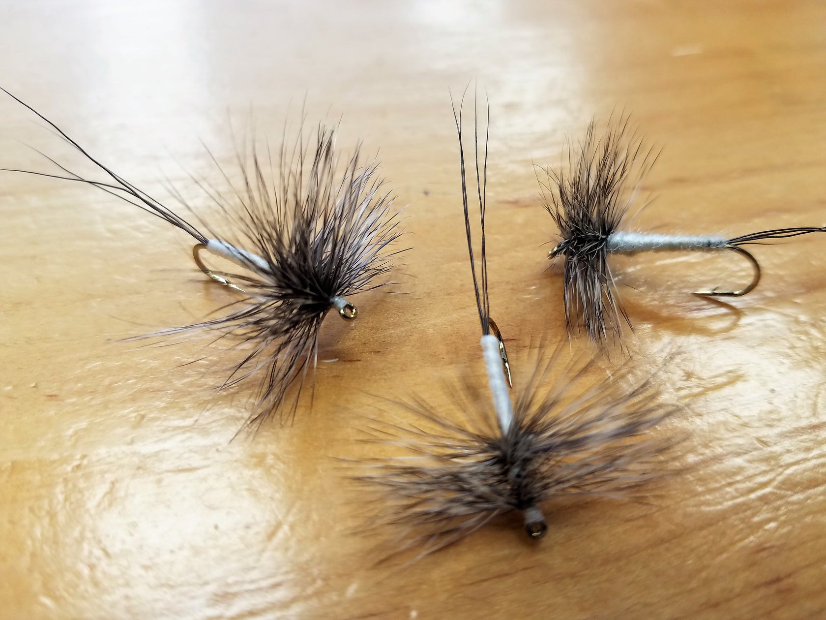 Coffin Fly Spinner, Coffin Fly, Coffinfly, Coffin Fly Dry Fly, Baxter ...
