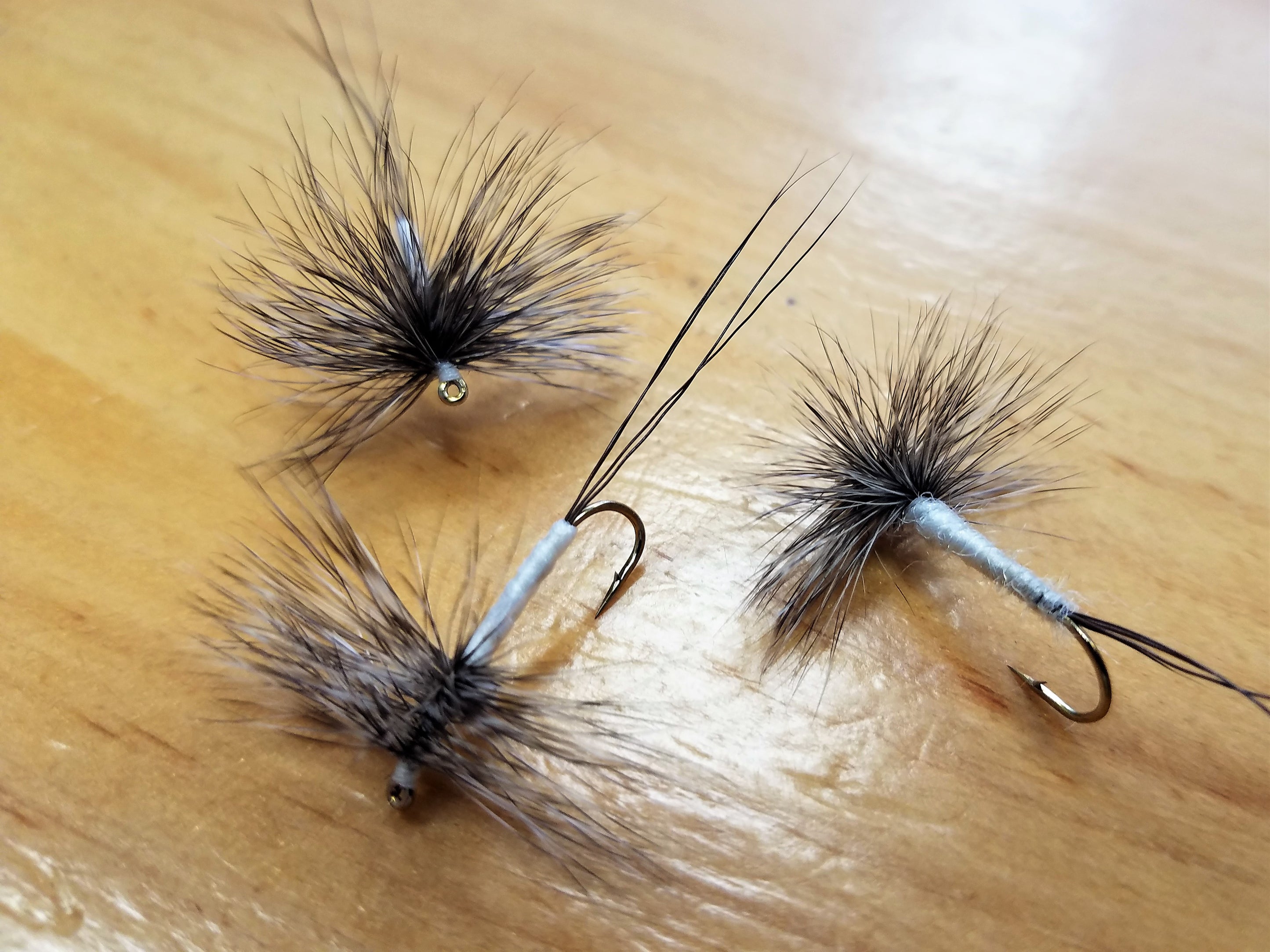 Coffin Fly Spinner, Coffin Fly, Coffinfly, Coffin Fly Dry Fly, Baxter ...